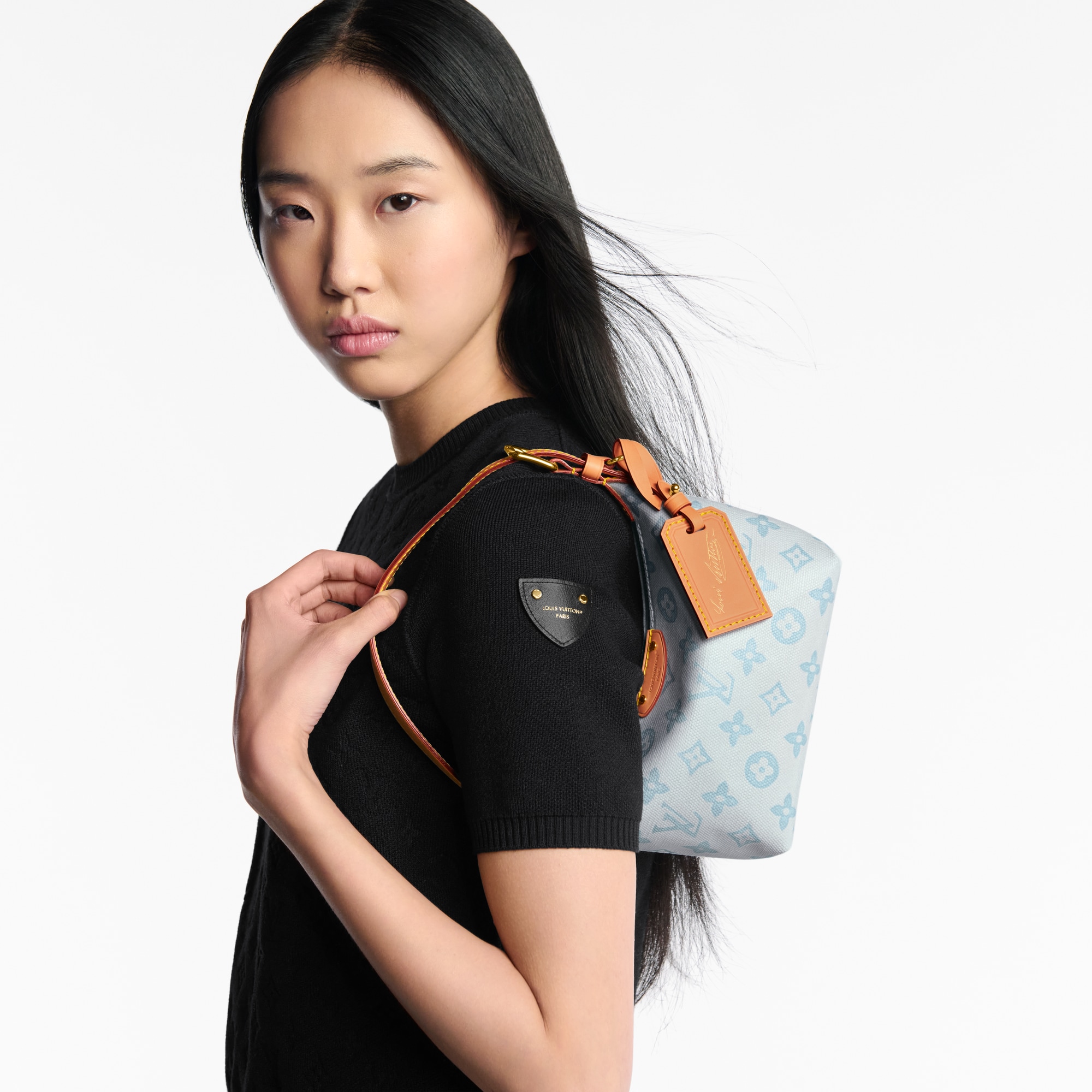 Pochette Hills Other Monogram Canvas - Wallets on Chain and Micro Bags ...
